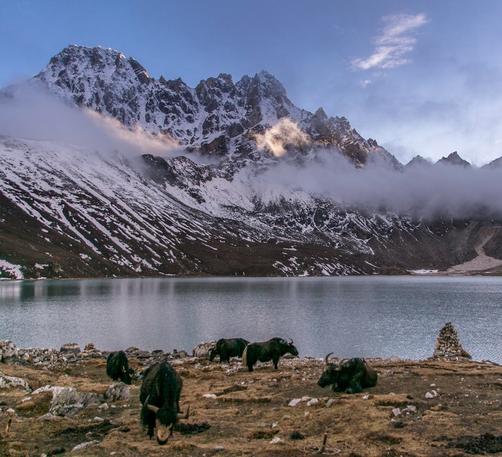 Gokyo Lake With Renjo La Pass Trek | Heaven Himalaya